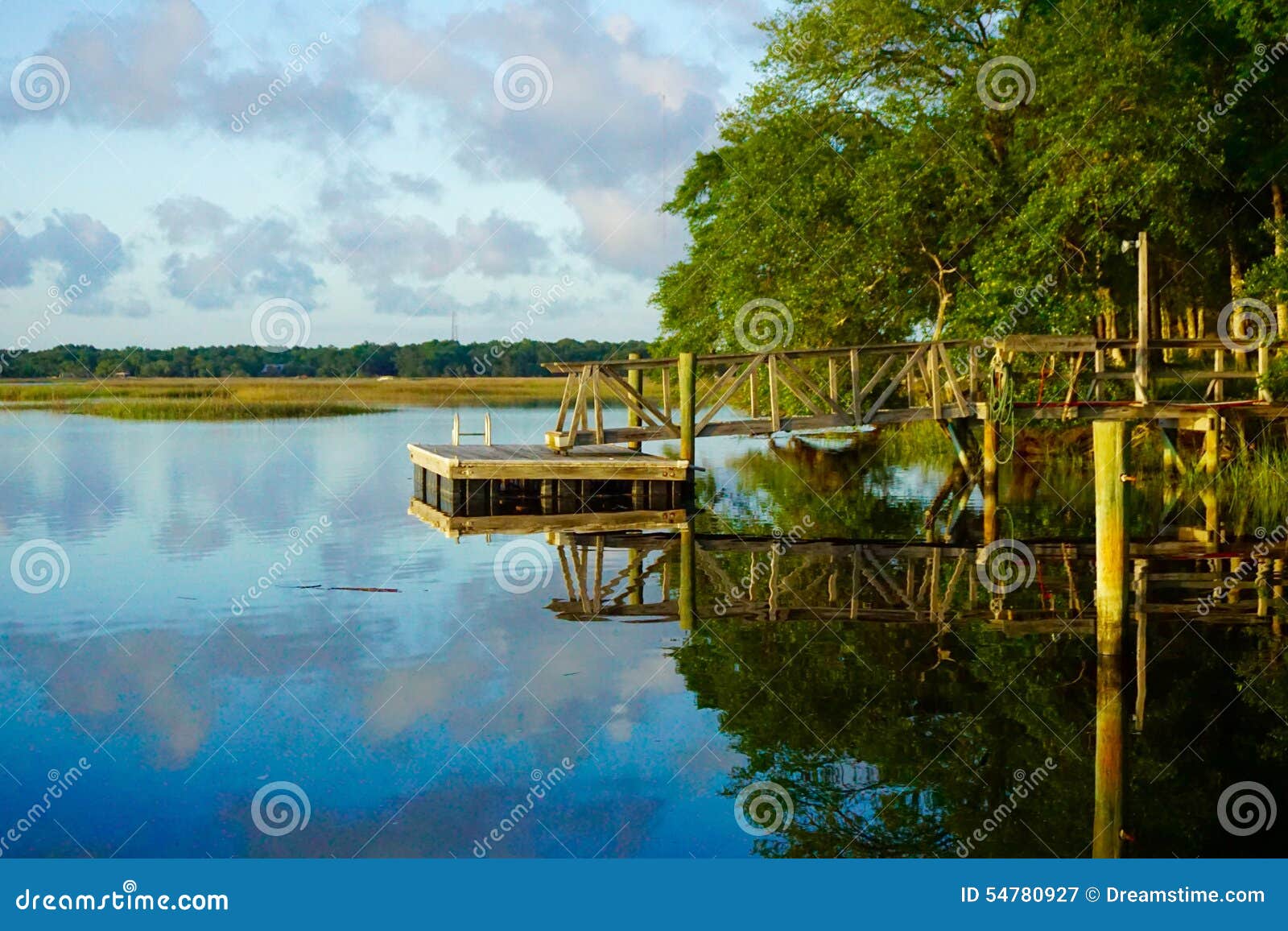 Wando River, SC stock image. Image of clouds, tree, south - 54780927