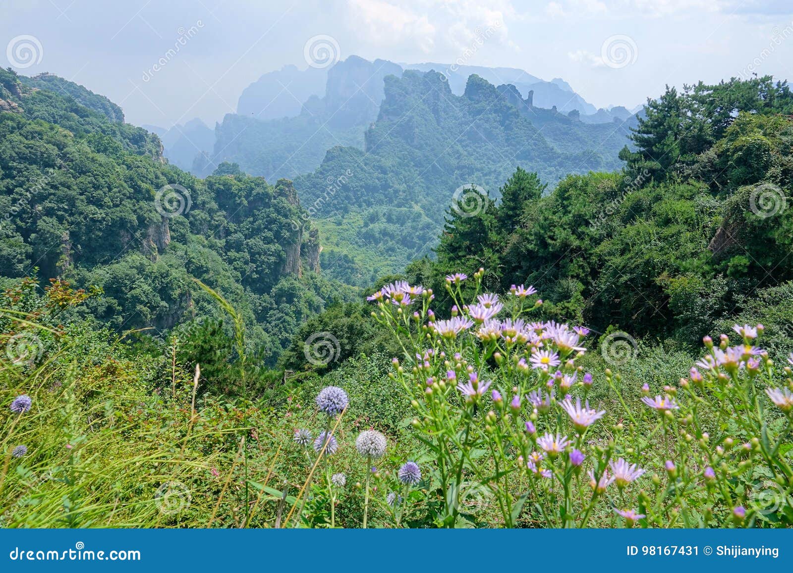 Wang Mangling stock afbeelding. Image of piek, klip, boom - 98167431