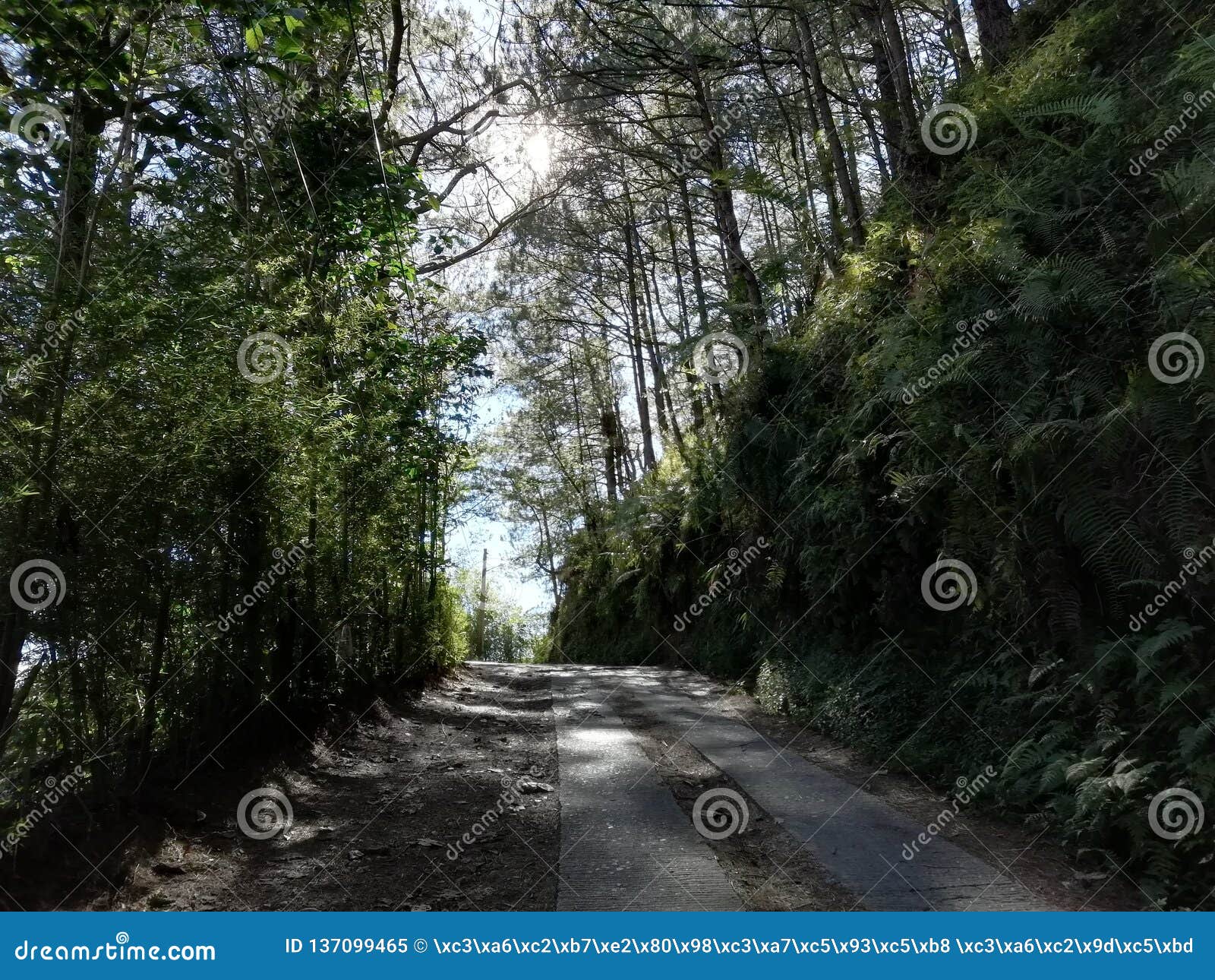 Wangal, La Trinidad, Benguet Imagen de archivo - Imagen de trinidad ...
