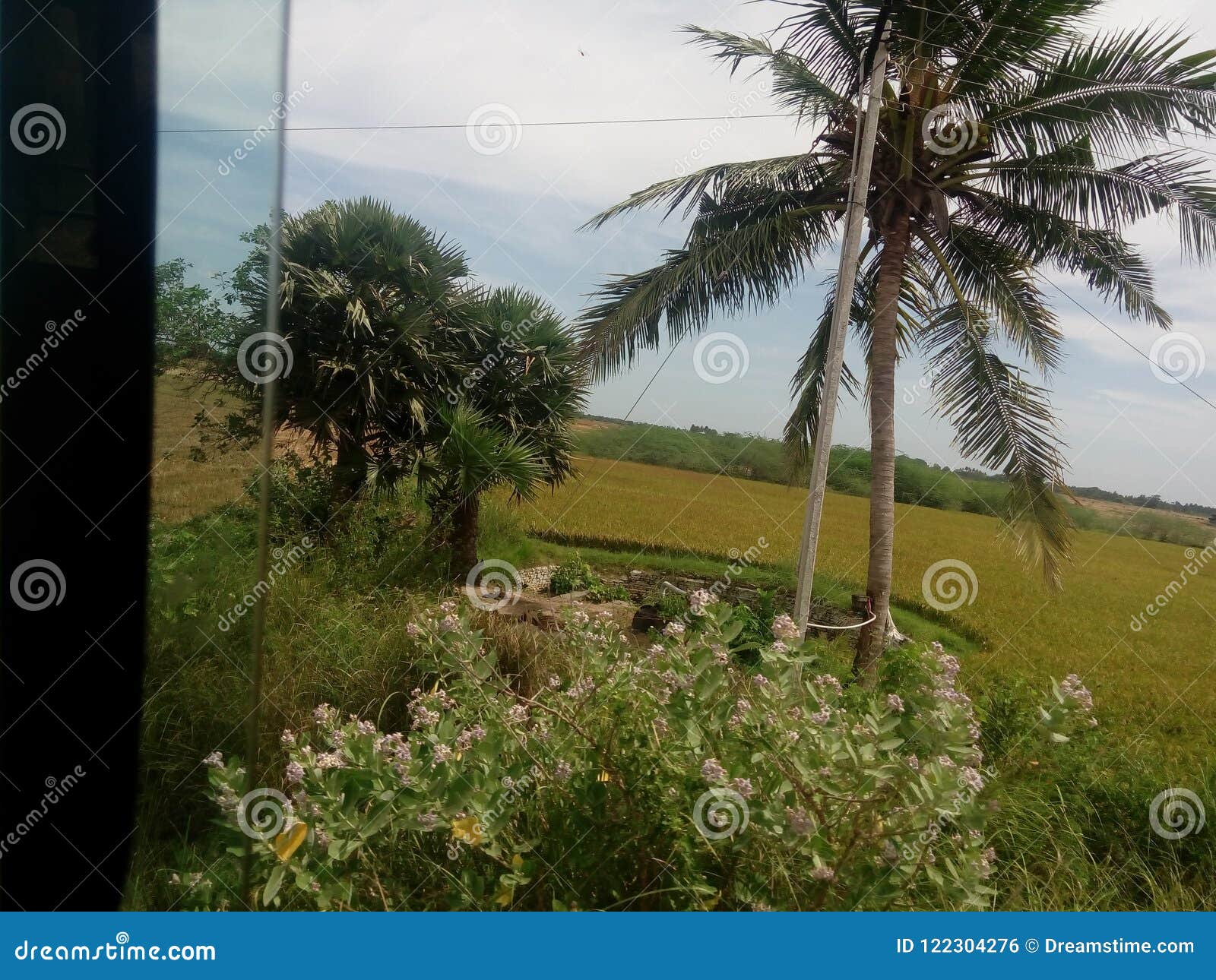 Aarun Stock Photos - Free & Royalty-Free Stock Photos from Dreamstime