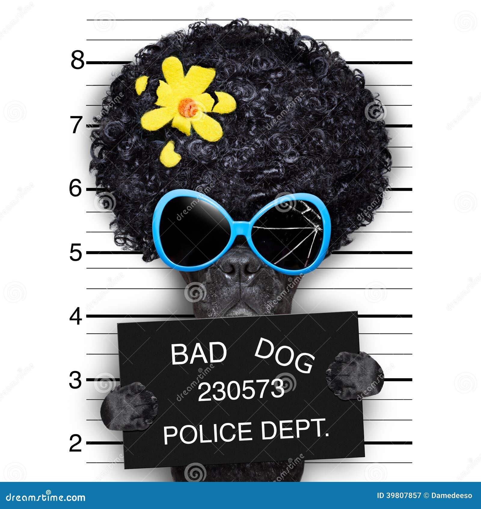 Funny Wanted Sign On A Blue Background Stock Photo | CartoonDealer.com ...