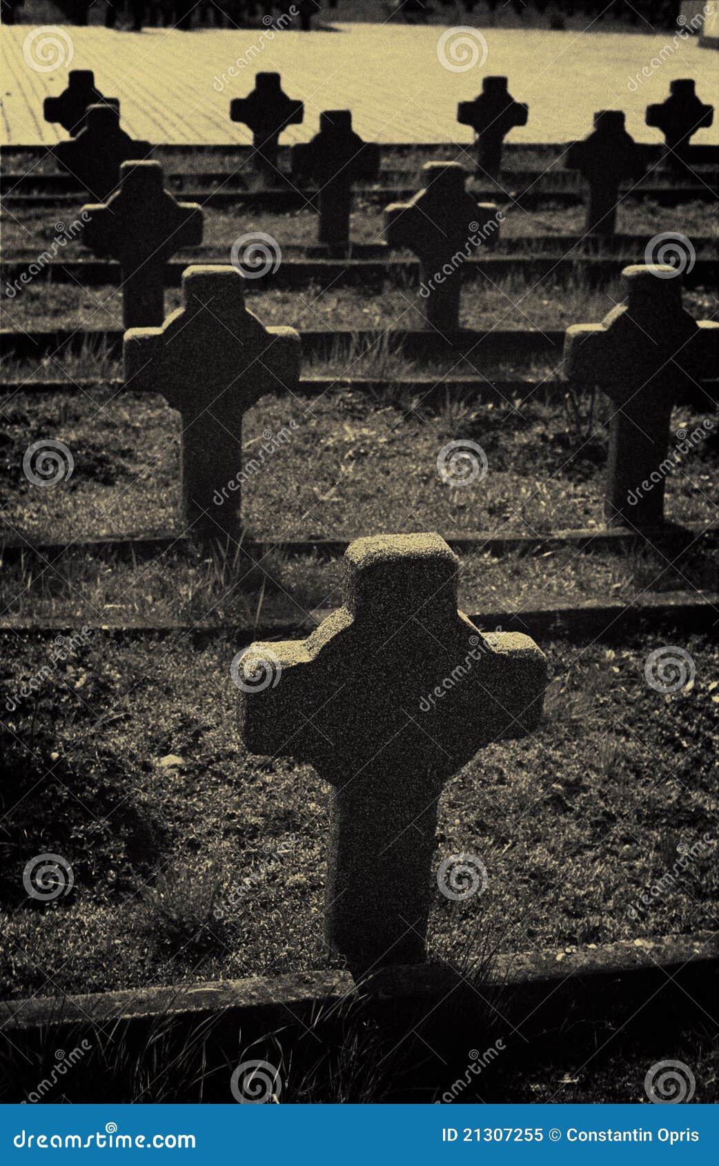 War cemetery crosses stock image. Image of crosses, dead - 21307255