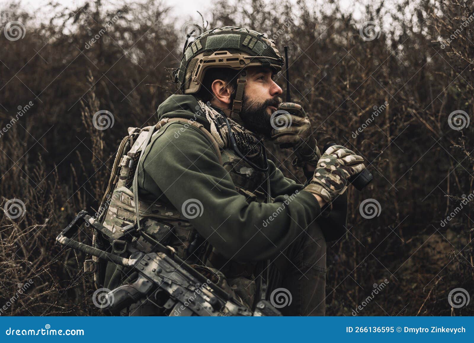 Military Reconnoiter Investigating the Place Stock Image - Image of ...