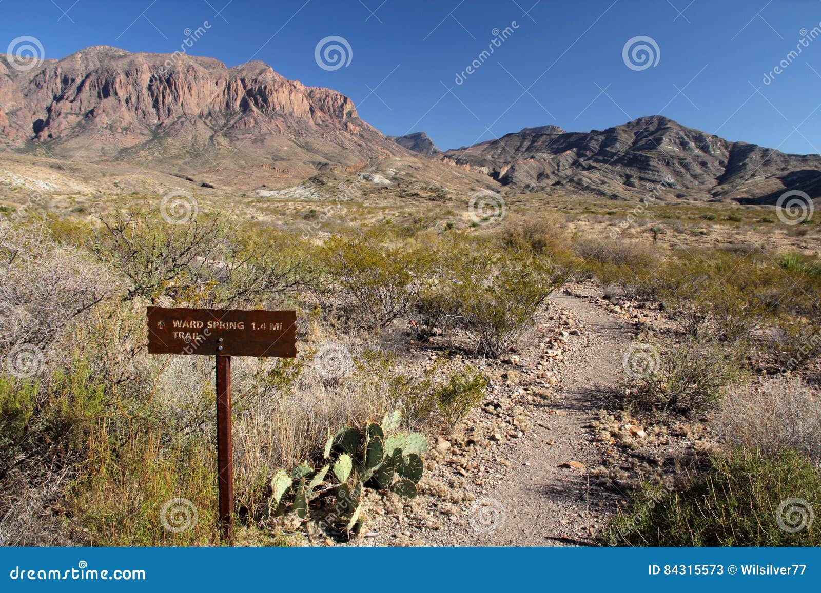 Ward Spring Trail editorial stock photo. Image of southwest - 84315573