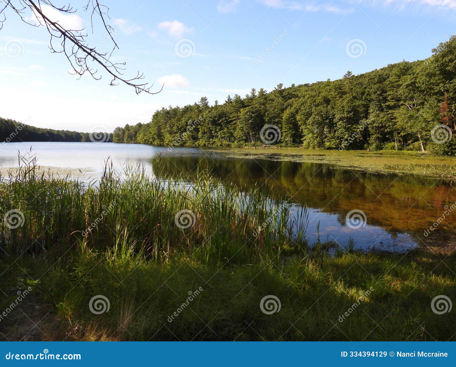 Early Autumn at Ware River Watershed Rutland Massachusetts Stock Image ...