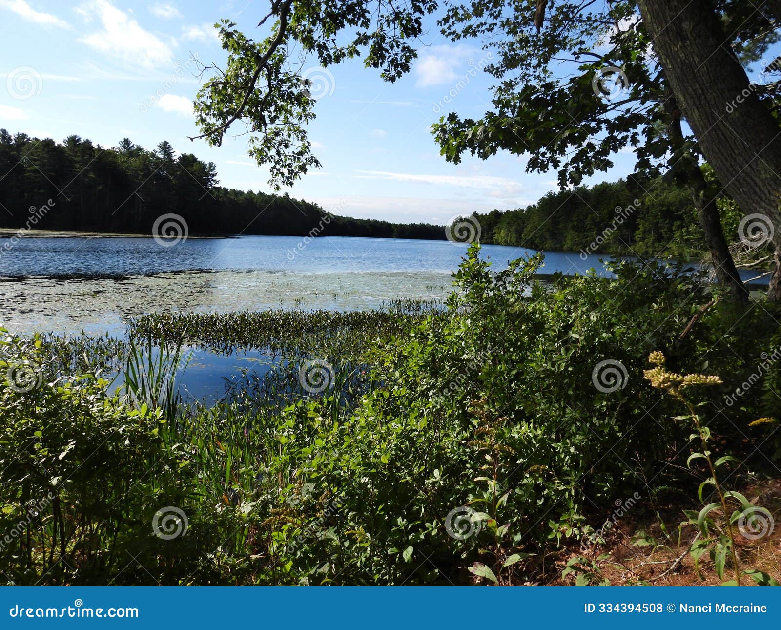 Ware River Watershed Area Near Rutland Massachusetts Stock Photo ...