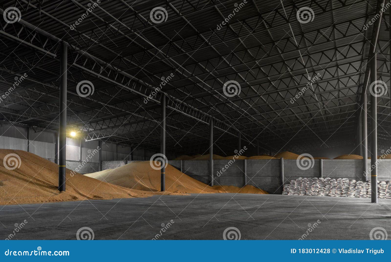 Warehouse with Bulk Grain and Bags in Storage Stock Photo - Image of ...
