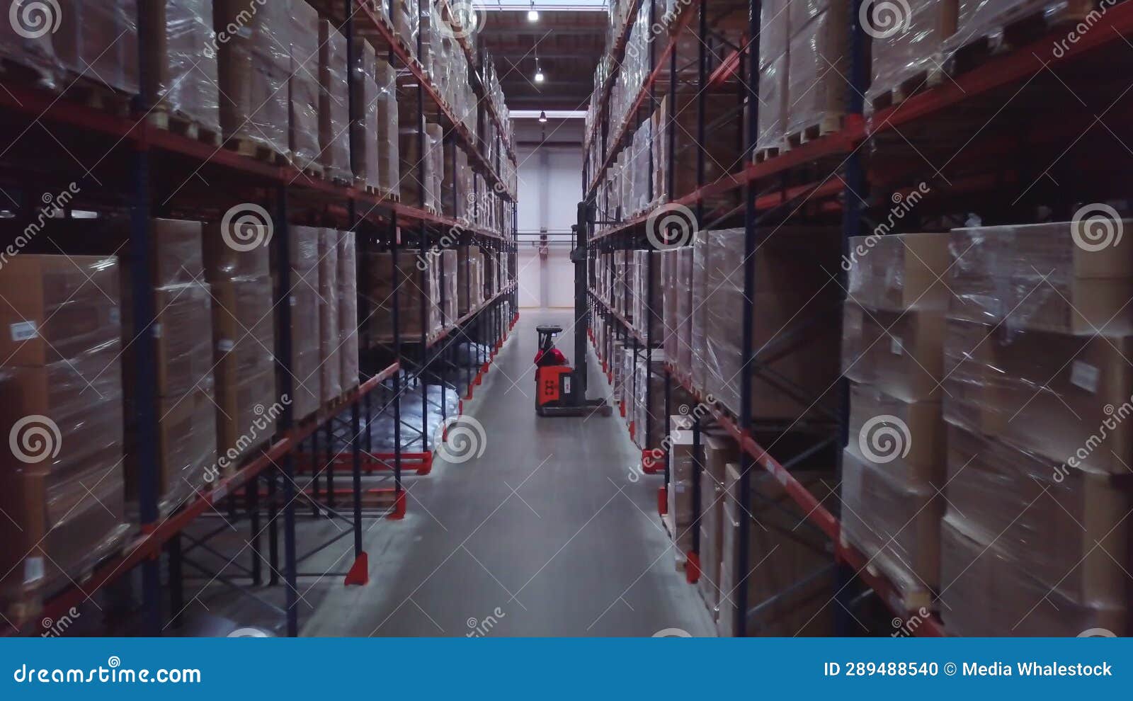 Warehouse with Cardboard Boxes Inside on Pallets Racks, Logistic Center ...