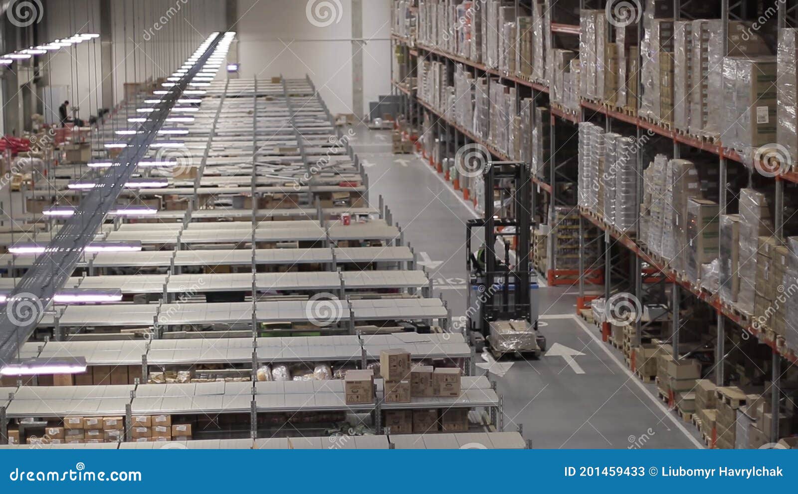 Warehouse with Cardboard Boxes Inside on Pallets Racks, Logistic Center ...