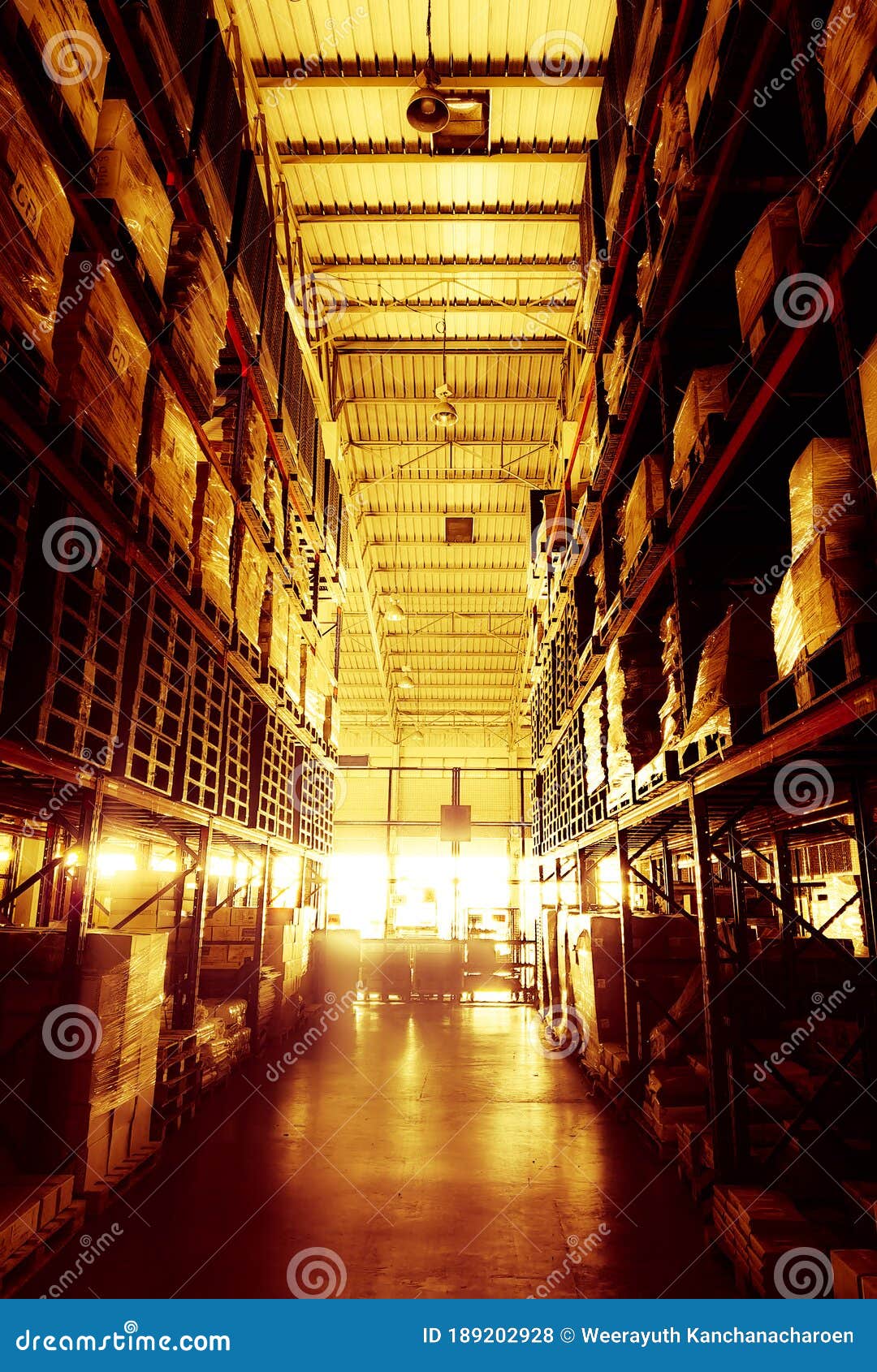Warehouse Cargo Building Store, Warehouse Interior with Shelves ...