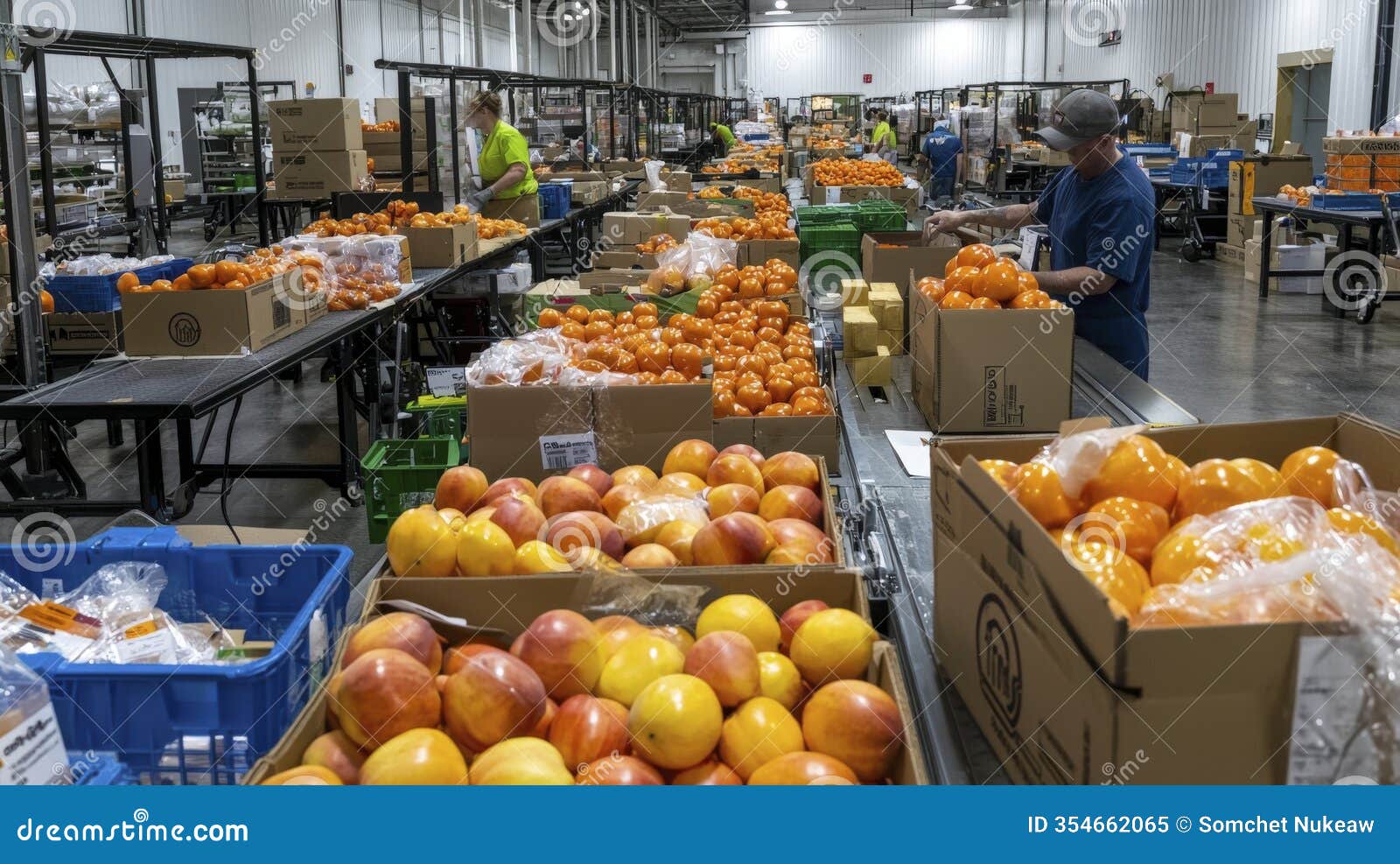 Warehouse Facility Overview Efficient Fruit Packing Distribution and ...
