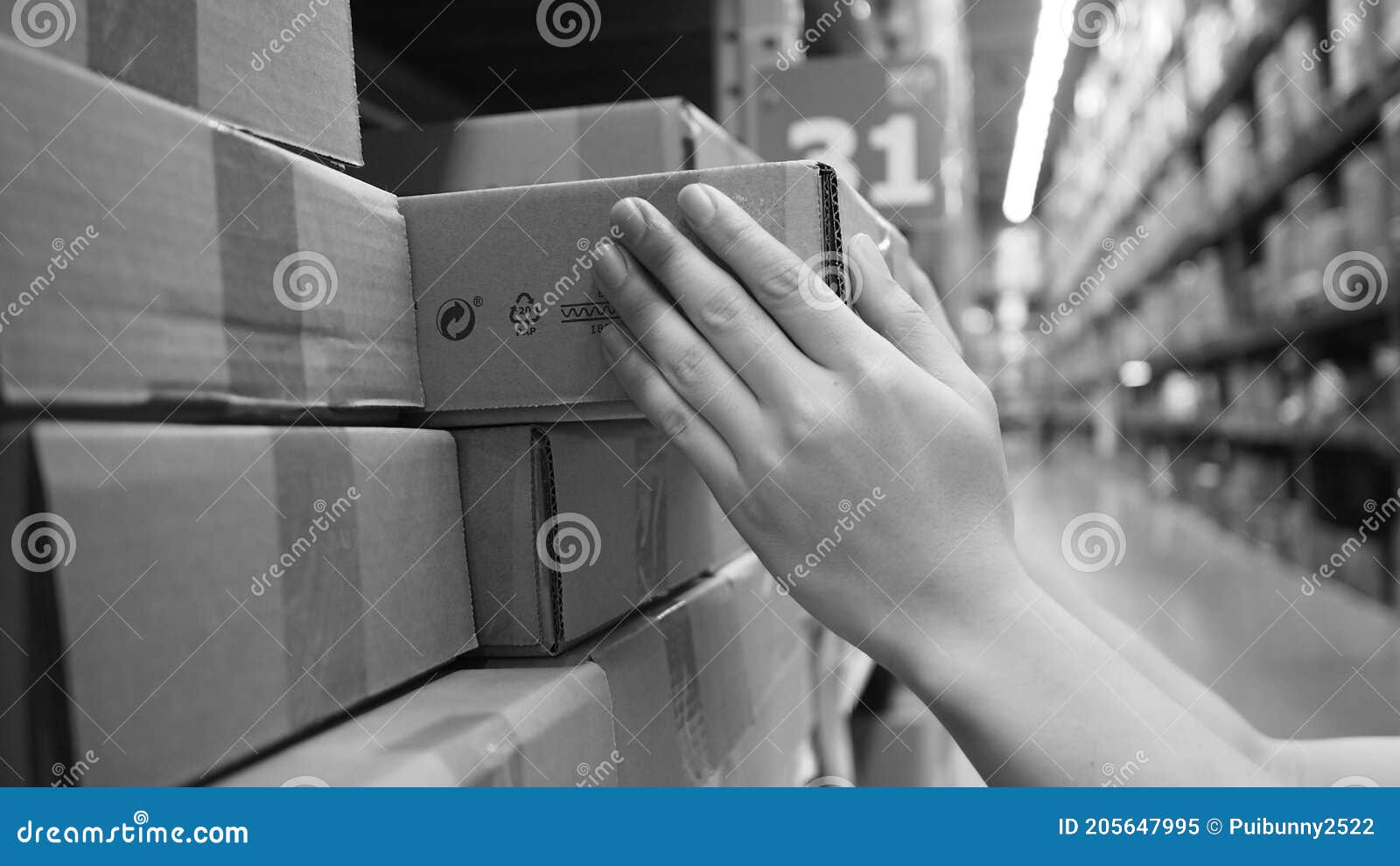 Warehouse Large Storage or Cargo for Distribution and Man`s Hand is ...