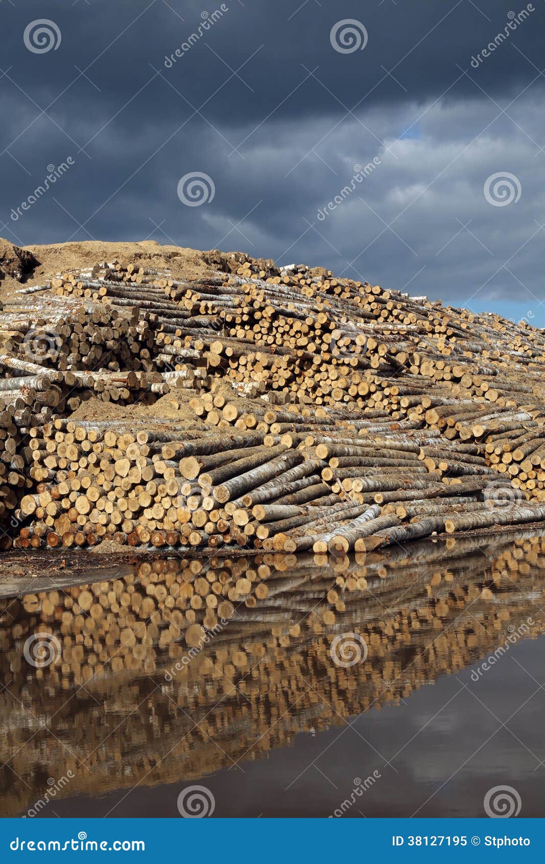 The warehouse of logs stock image. Image of industry - 38127195