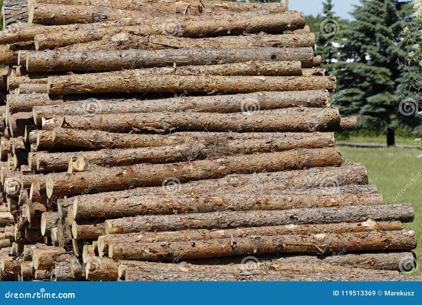 The Warehouse of Logs in Open Air Stock Image - Image of renewable ...