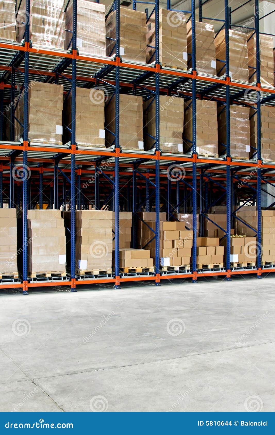 Warehouse pallets stock photo. Image of container, business - 5810644