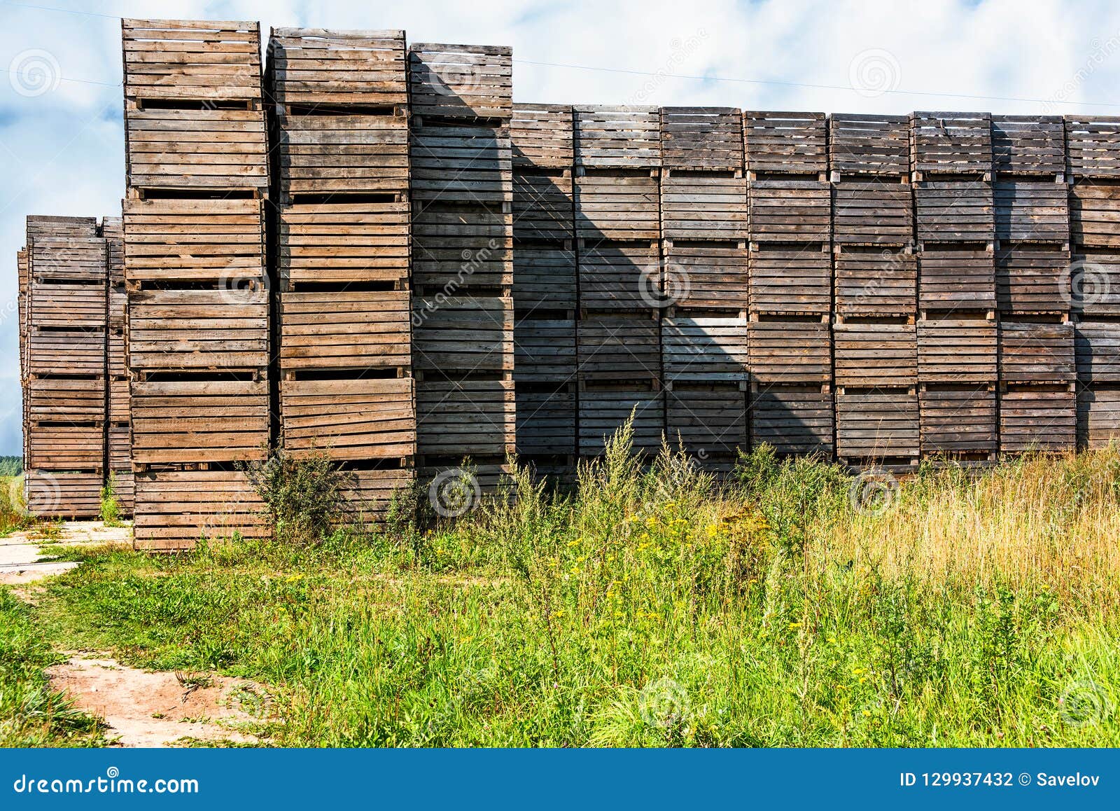 Warehouse of Potato Boxes is Outdoors Stock Photo - Image of natural ...