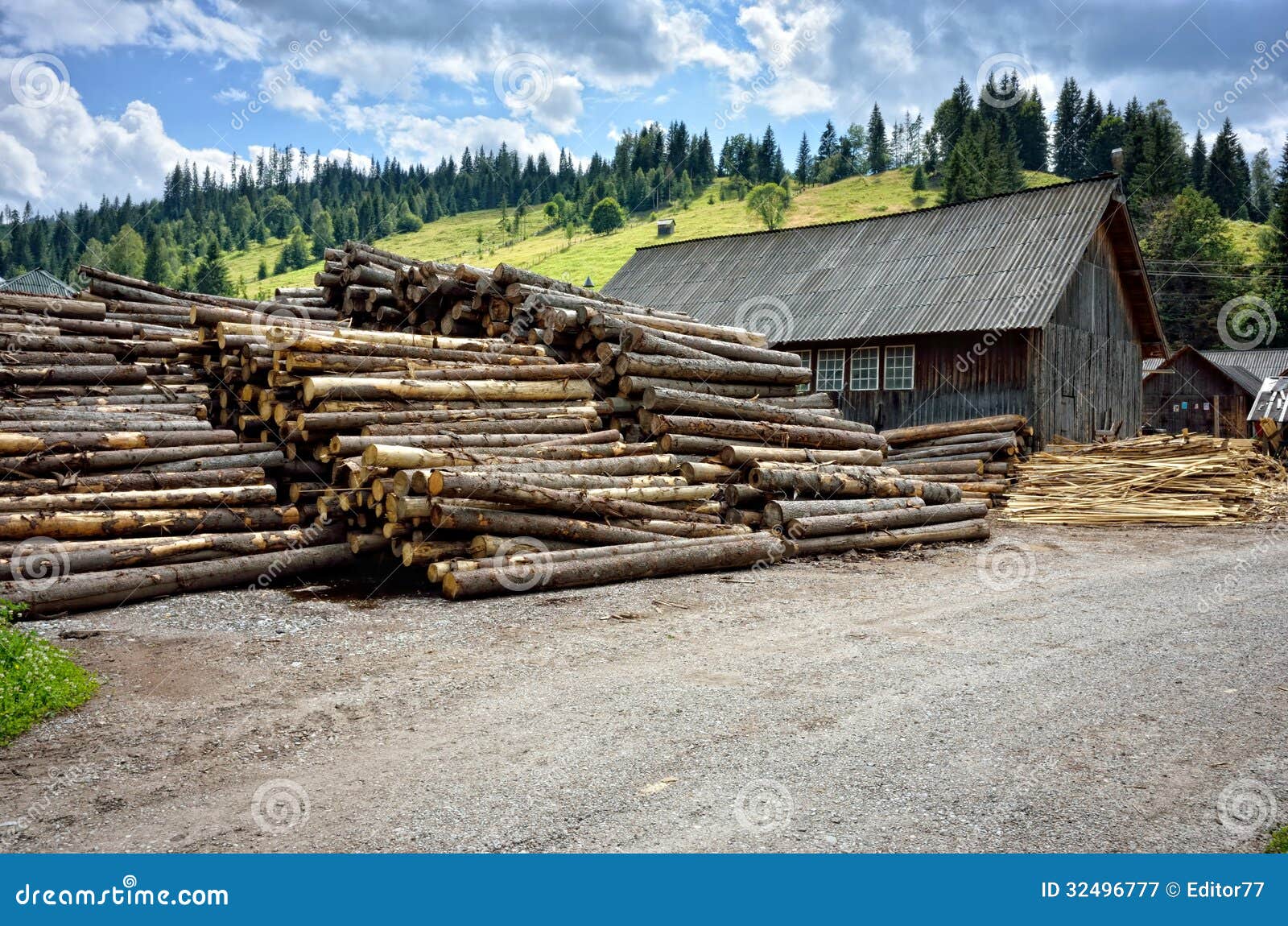 Warehouse for Raw Logs in Mountain Stock Image - Image of framework ...