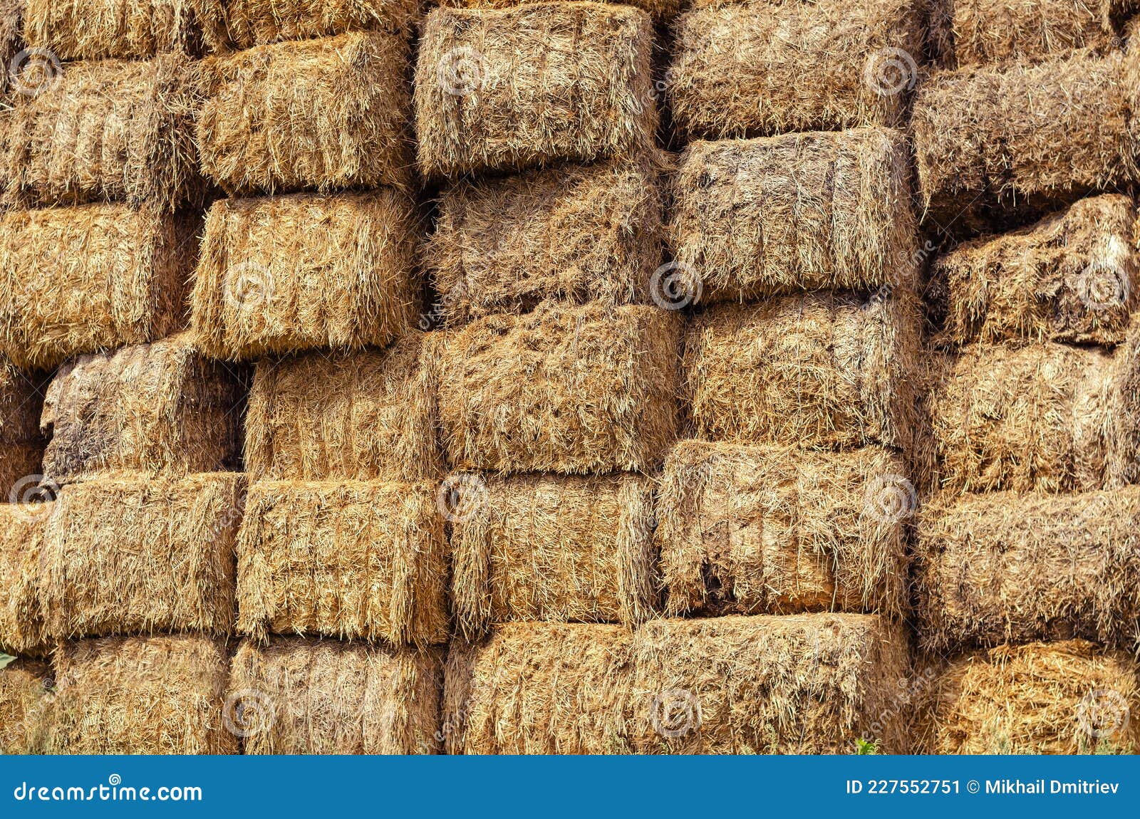 Warehouse of Rectangular Bales of Hay. the Uneven Texture of a S Stock ...