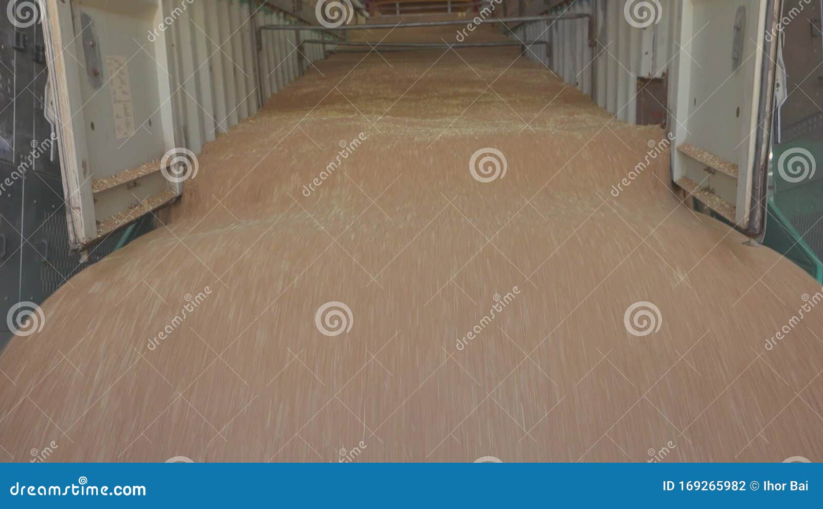 Warehouse with Wheat. Loading Wheat To the Grain Elevator Stock Footage ...