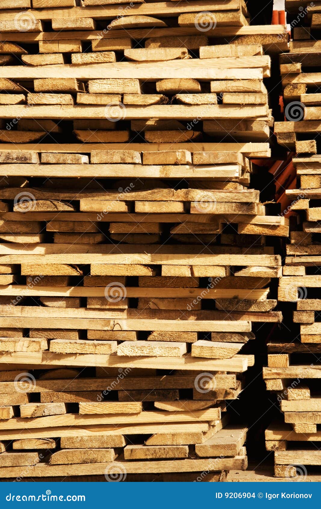 Warehouse of wooden boards stock photo. Image of tree - 9206904