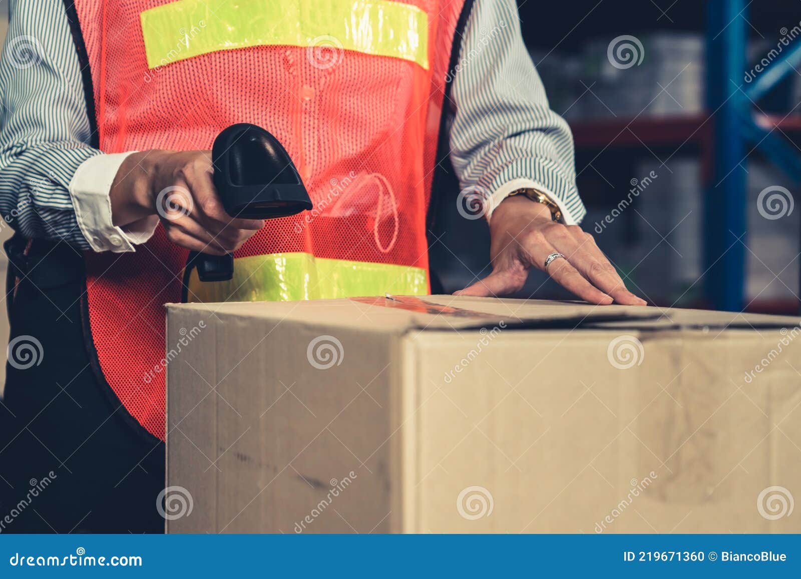 Warehouse Worker Using Barcode Scanner in Storehouse Stock Photo ...