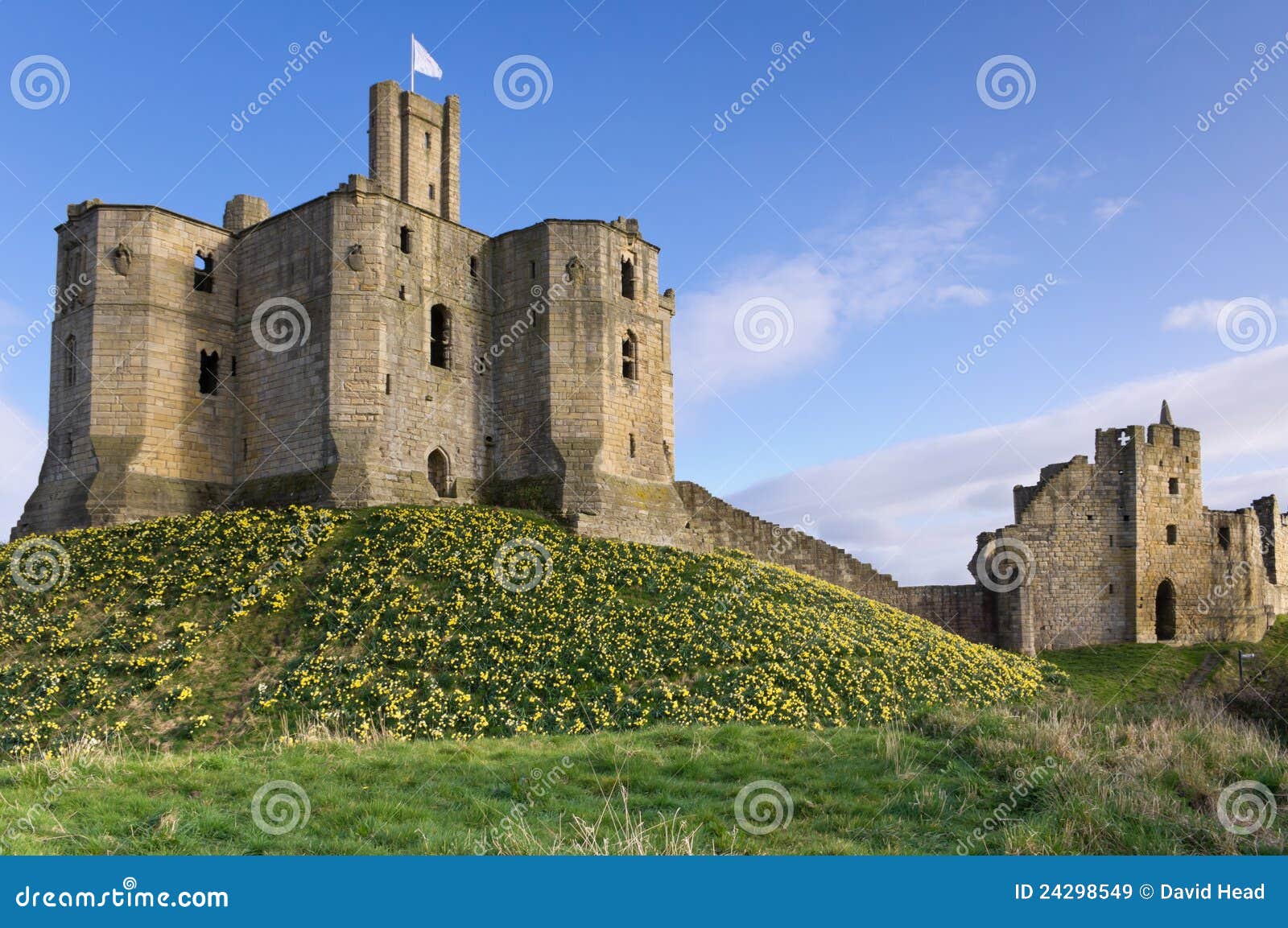 Warkworth Castle in spring stock image. Image of england - 24298549