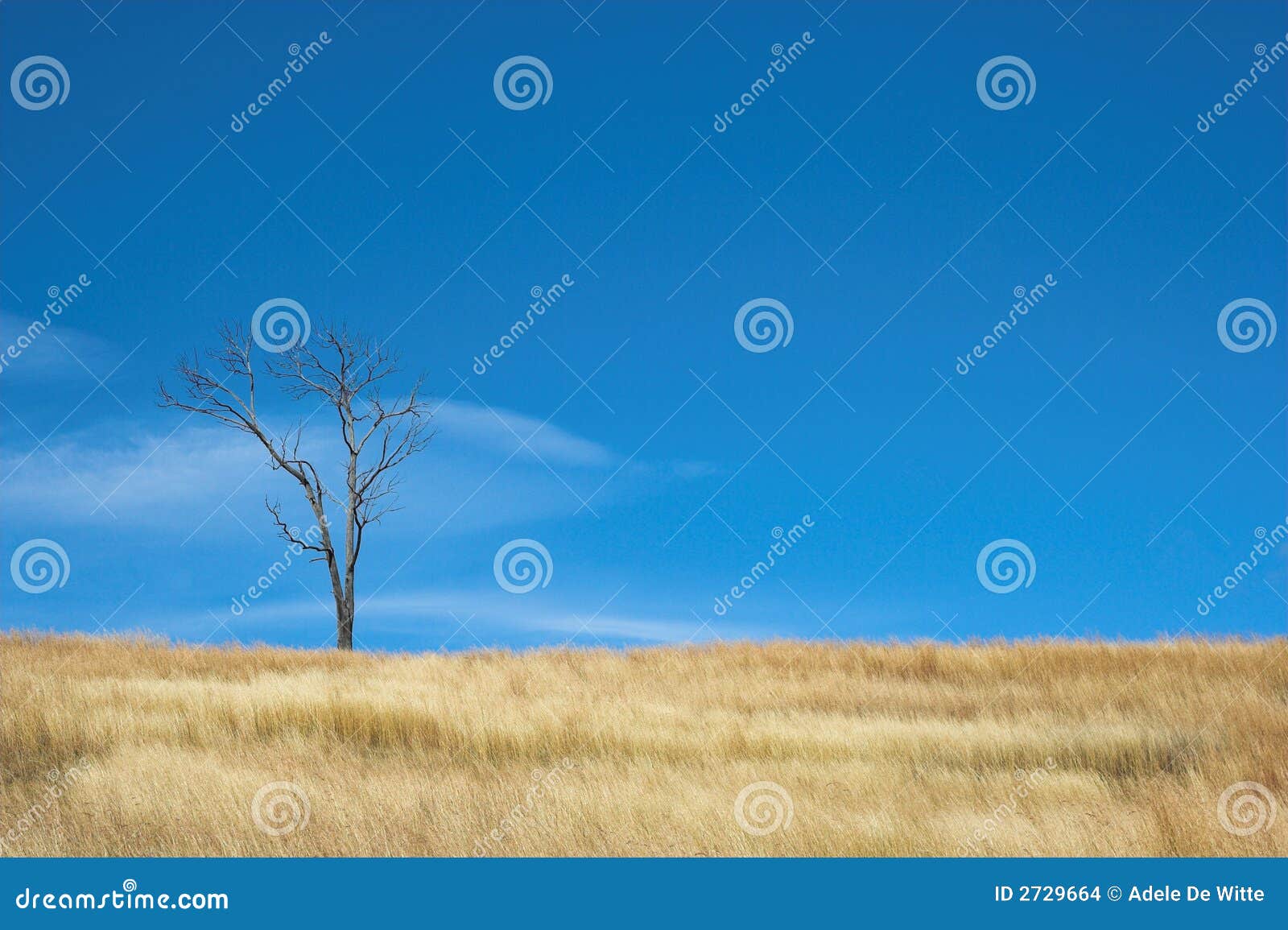 Warm African Winter Landscape Stock Photo - Image of clear, warm: 2729664
