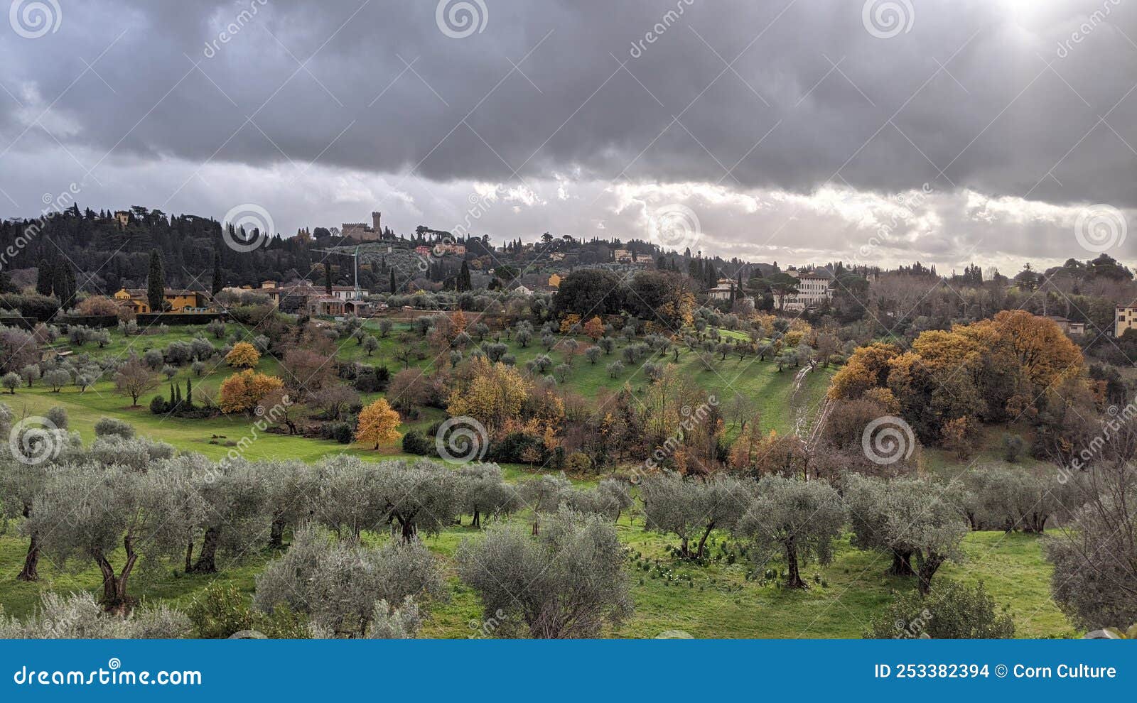 The Warm Autumn Flora of Florence, Italy Editorial Stock Image - Image ...
