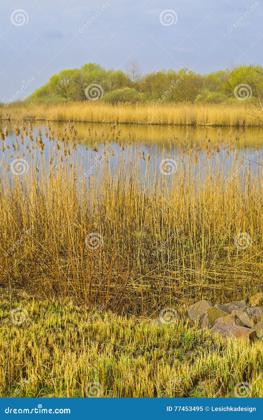 Warm autumn scenery stock image. Image of light, brown - 77453495