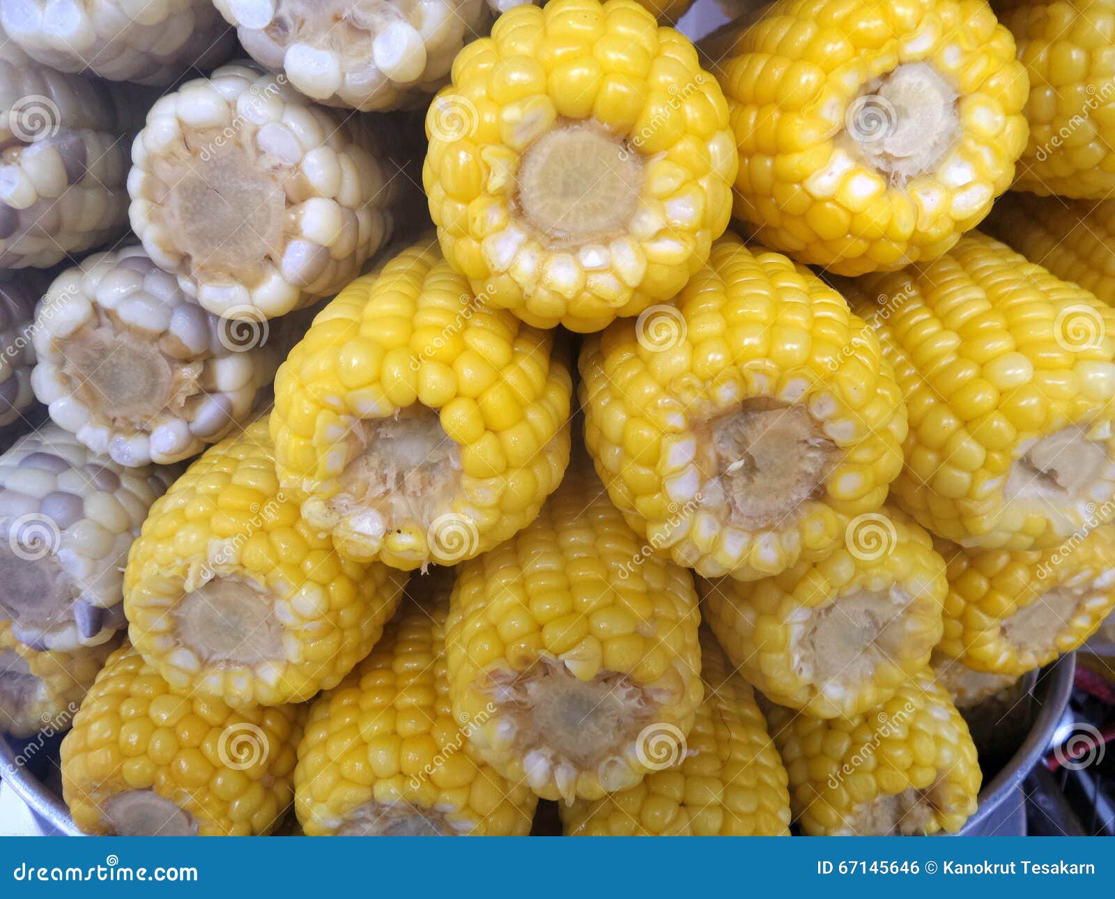 Warm boiled sweet corn stock photo. Image of sweet, vendor - 67145646