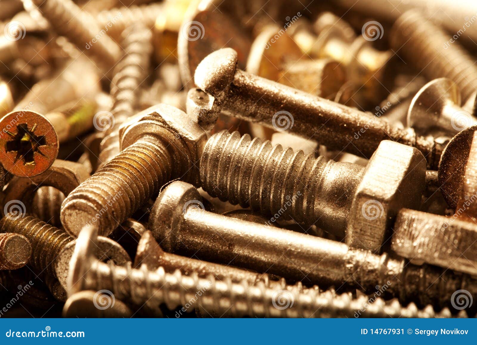 Warm Color Metal Screws Close Up Stock Image - Image of detail, group ...