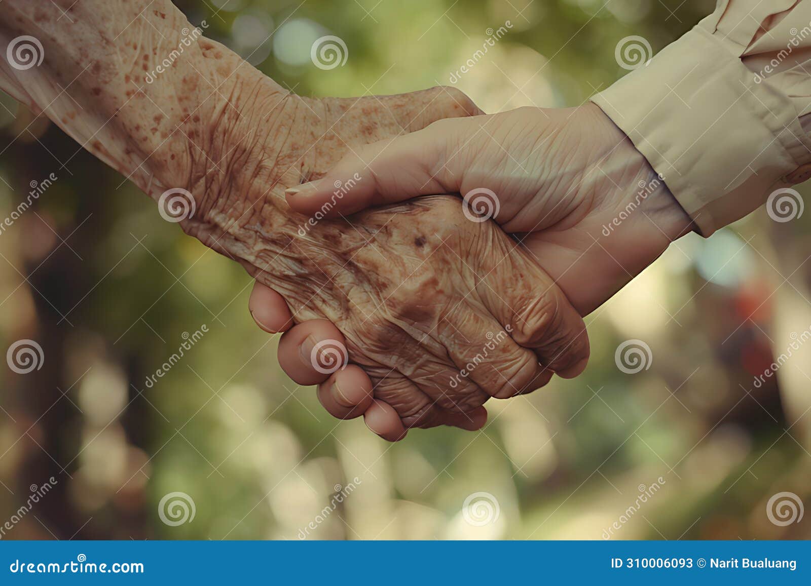 A Warm, Comforting Handshake between the Young and the Elderly ...