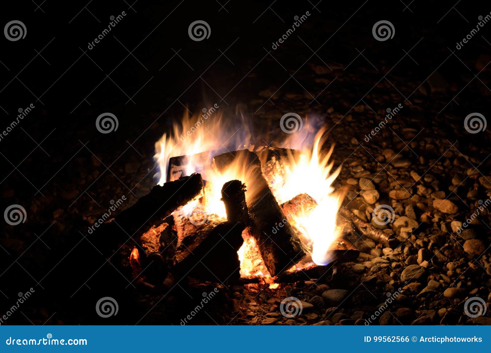 Warm and cozy campfire stock photo. Image of fire, burning - 99562566