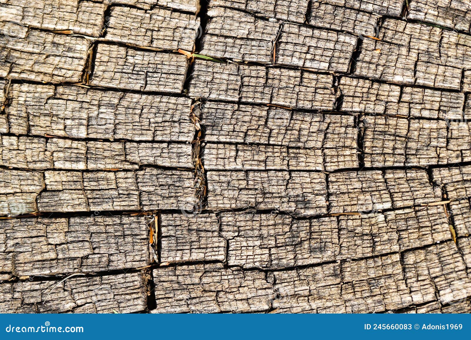 Warm cut wood texture stock image. Image of material - 245660083