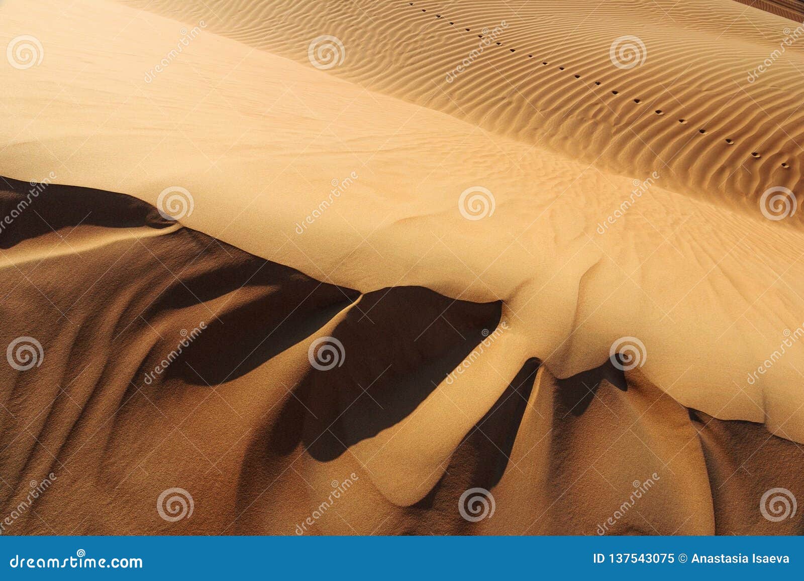 Camel Footprints In The Sand Sahara Desert Stock Image | CartoonDealer ...