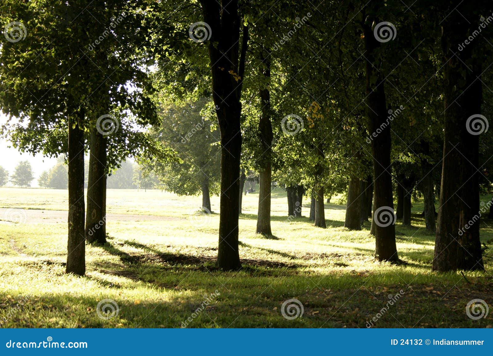 Warm Evening in the Park II Stock Photo - Image of recreation, warm: 24132