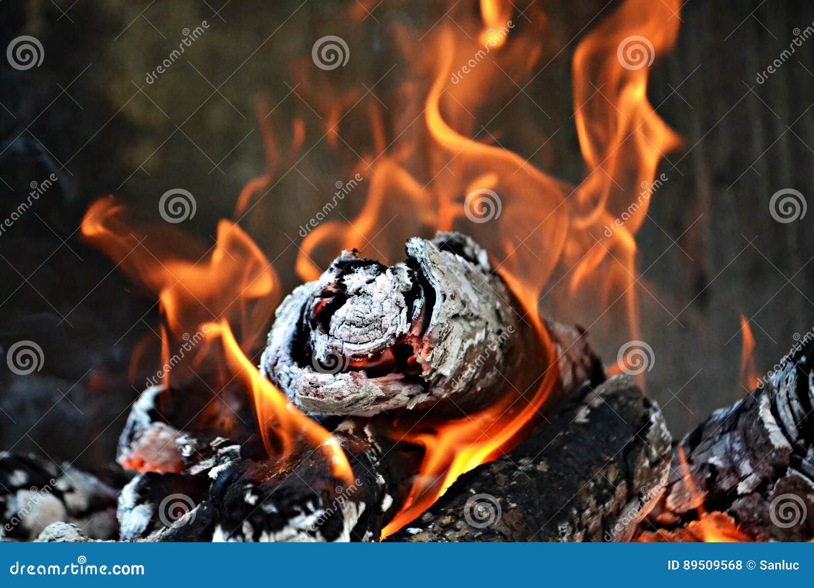 Warm fire stock photo. Image of whit, coisly, grill, macro - 89509568
