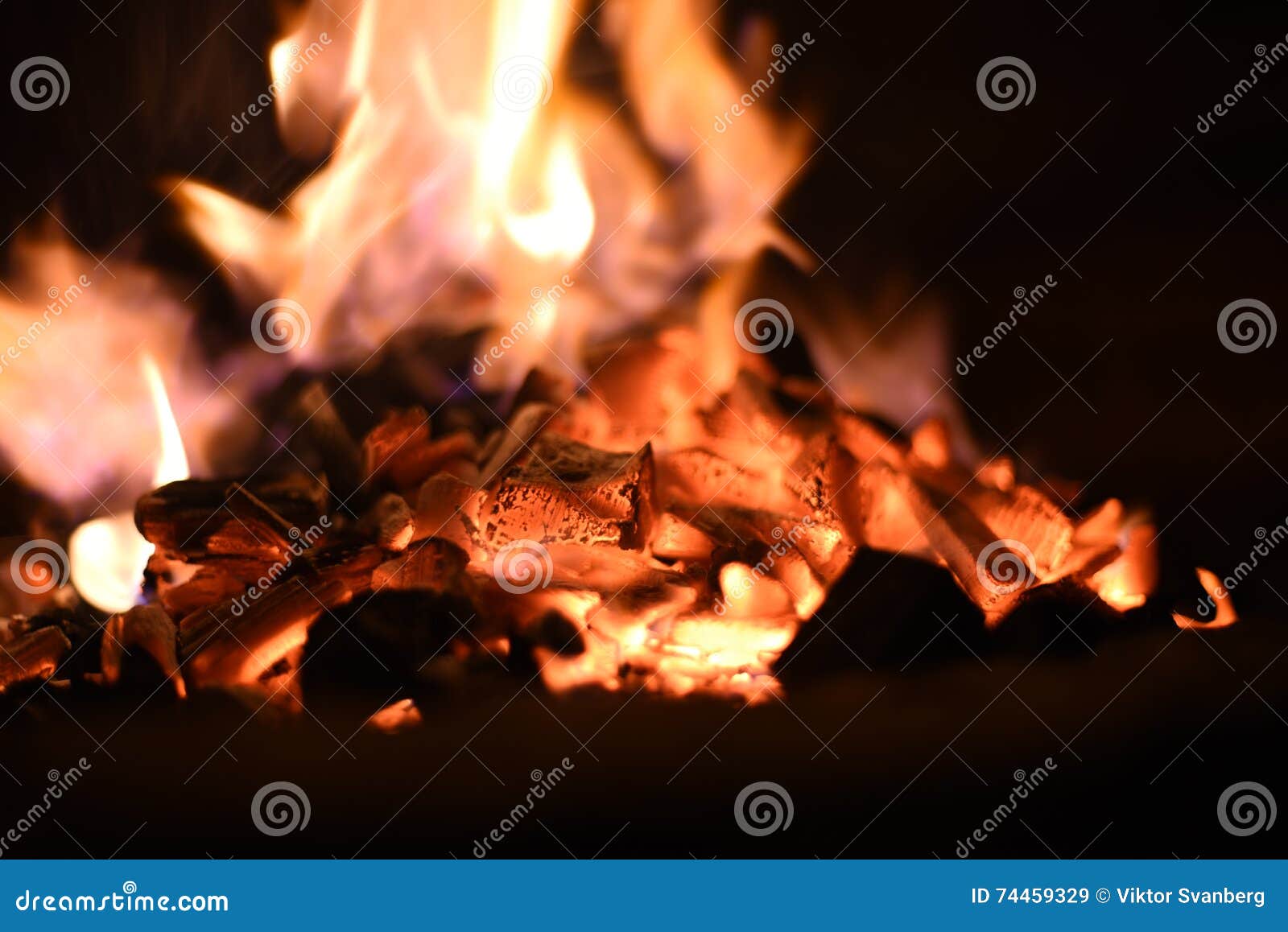 A warm fire stock image. Image of carbon, bonfire, ignite - 74459329