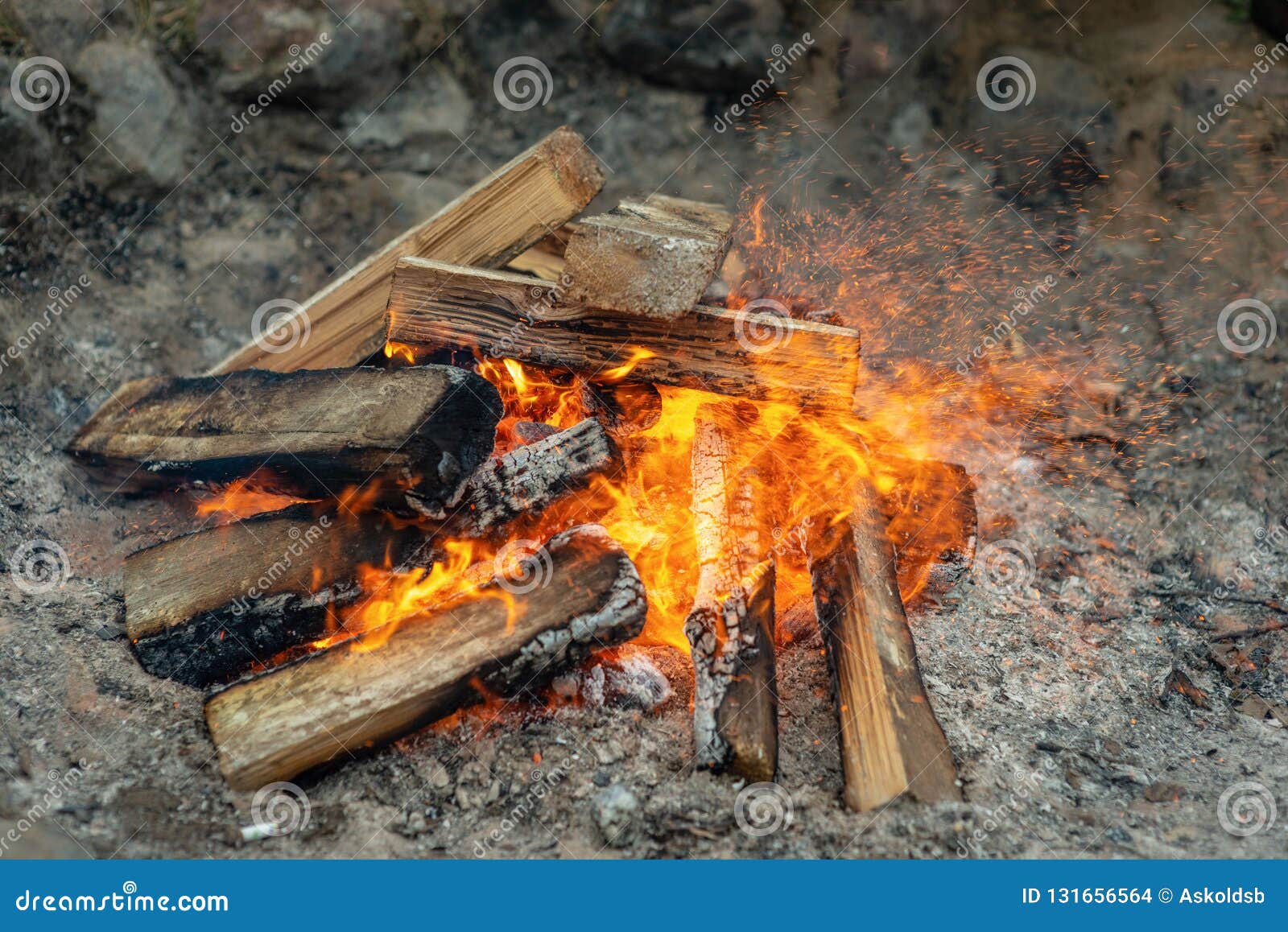 Warm Fireplace with Lots of Trees Ready for Barbecue Stock Photo ...