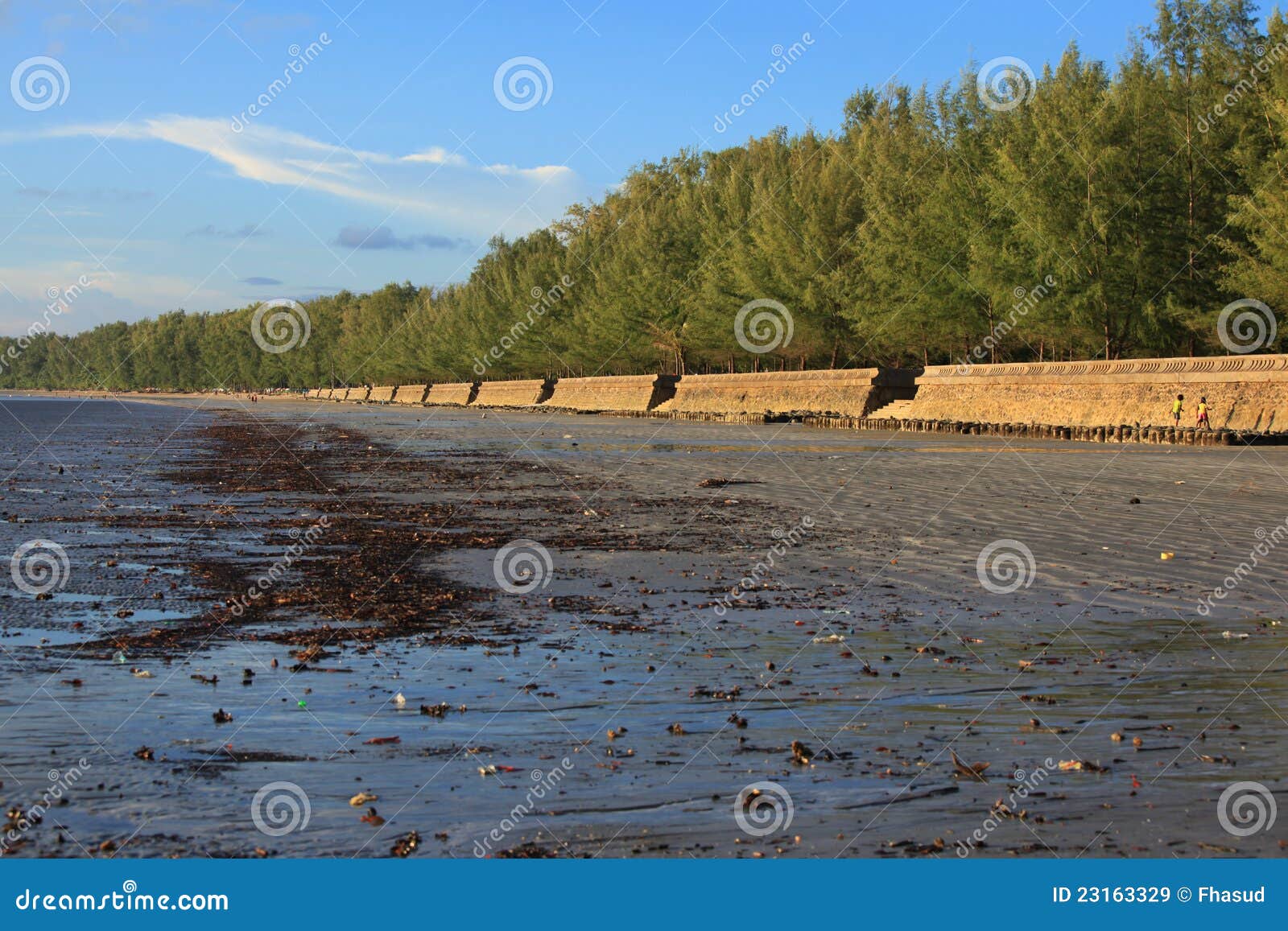 Warm Licht Over Op Het Strand. Stock Afbeelding - Image of hemel ...