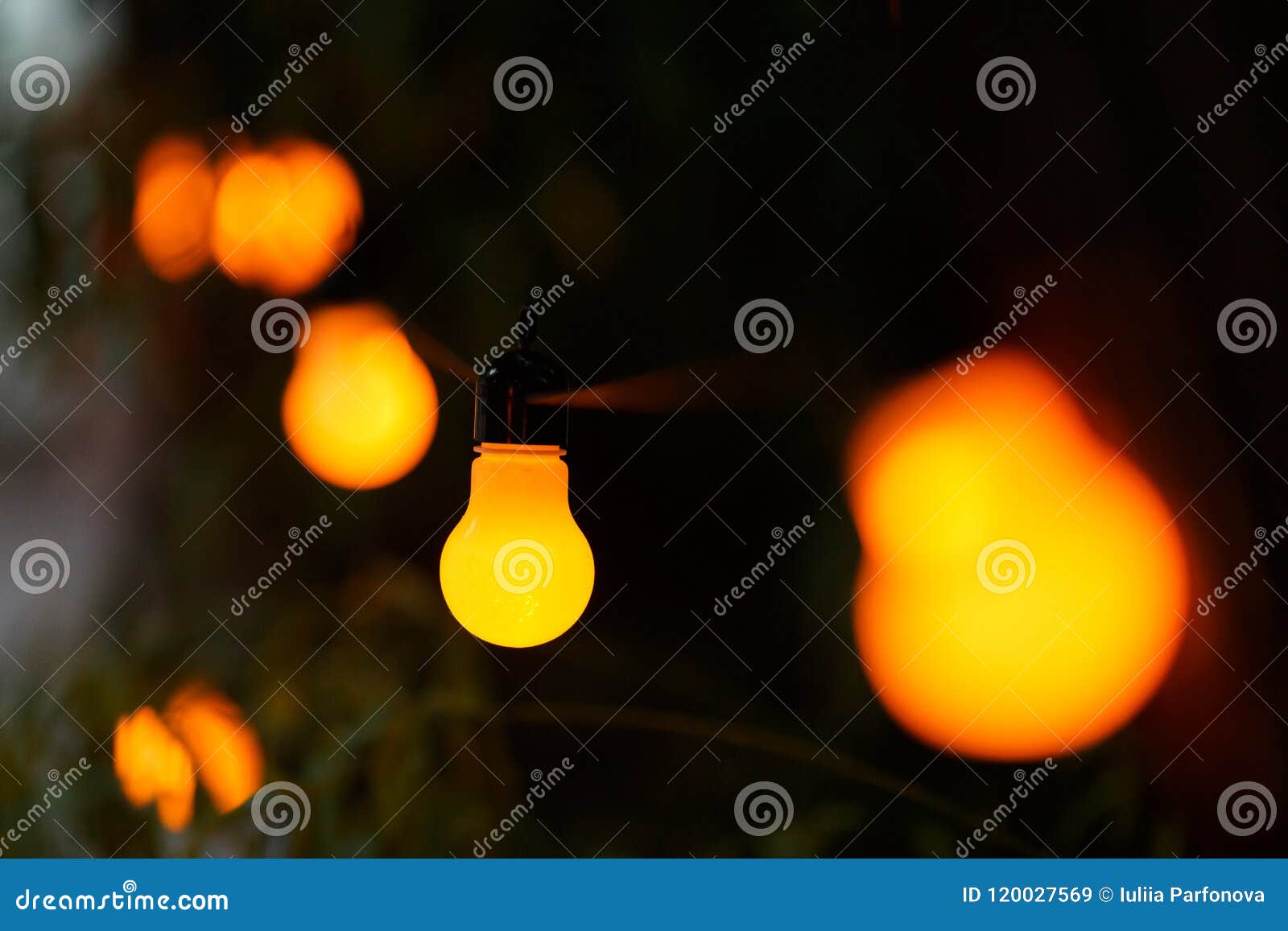 Warm Light Bulbs at the Evening Event Stock Image - Image of event ...