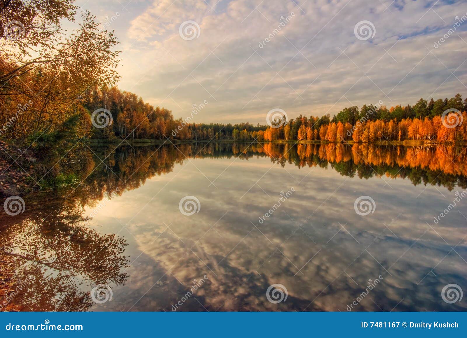 Warm Light and Reflections of Autumn Stock Image - Image of forest ...