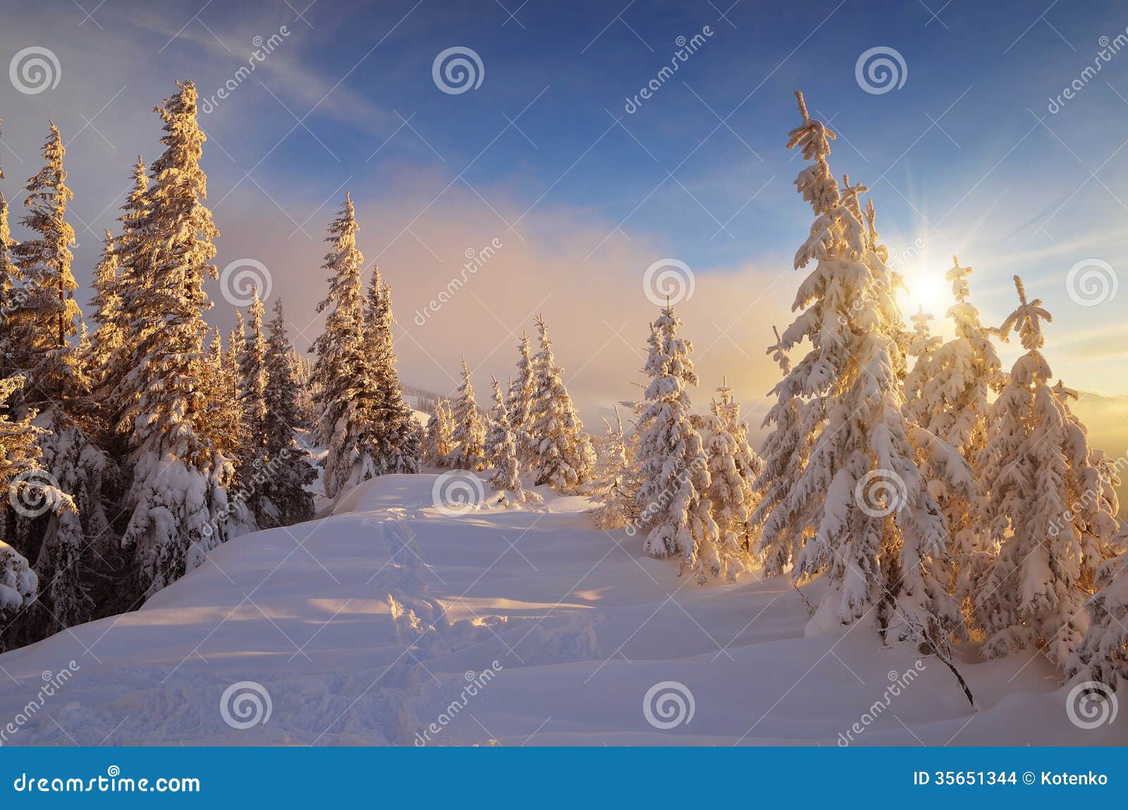 Warm Light of the Sun on Cold Snow Stock Photo - Image of landscape ...