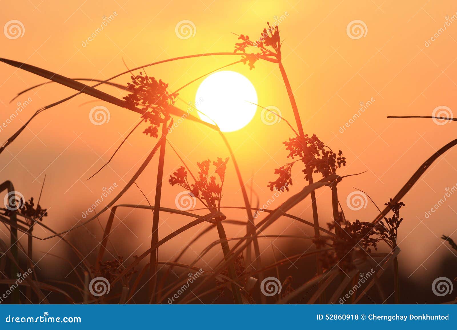 Warm Mountains Sunset with Orange Sky Stock Photo - Image of black ...