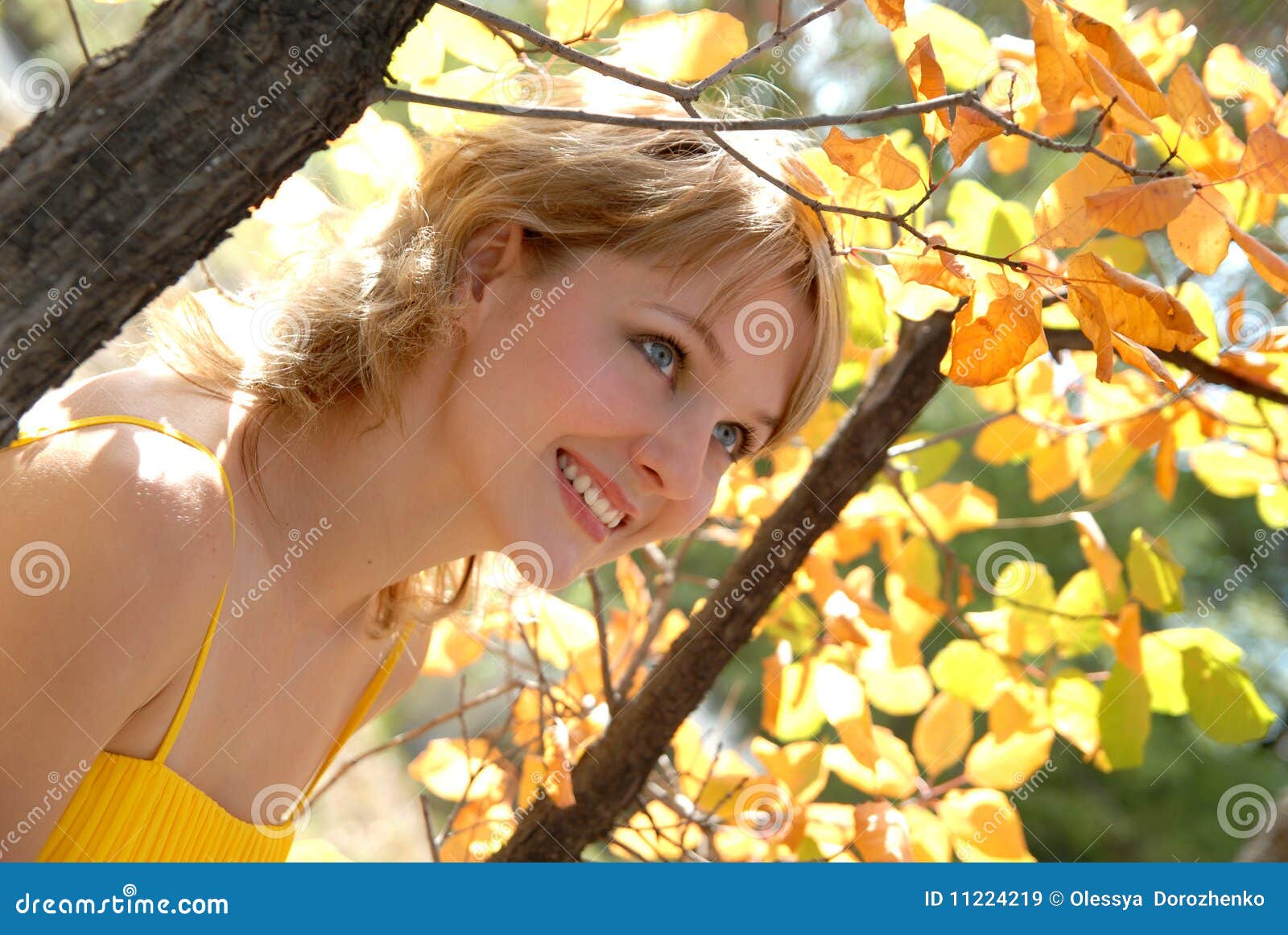 Warm, solar autumn stock image. Image of charming, girl - 11224219