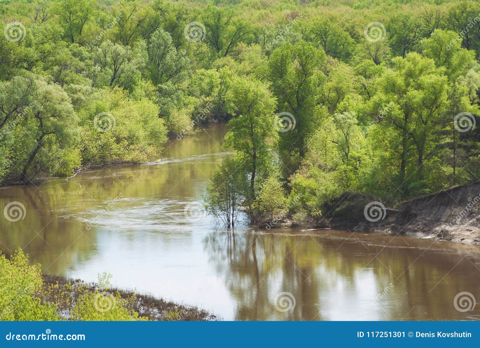 A Warm Spring Day in the Forest Valley of the Russian River with a ...