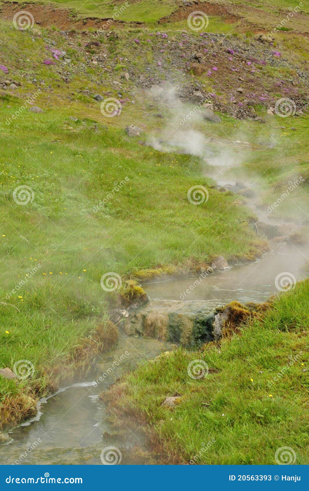Warm stream stock image. Image of geothermal, iceland - 20563393