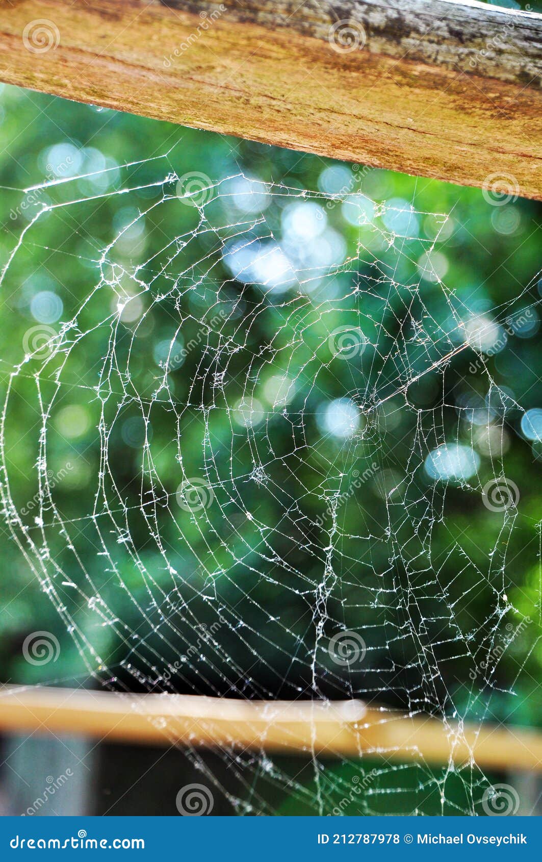 Cobweb under the roof stock photo. Image of horizontal - 212787978