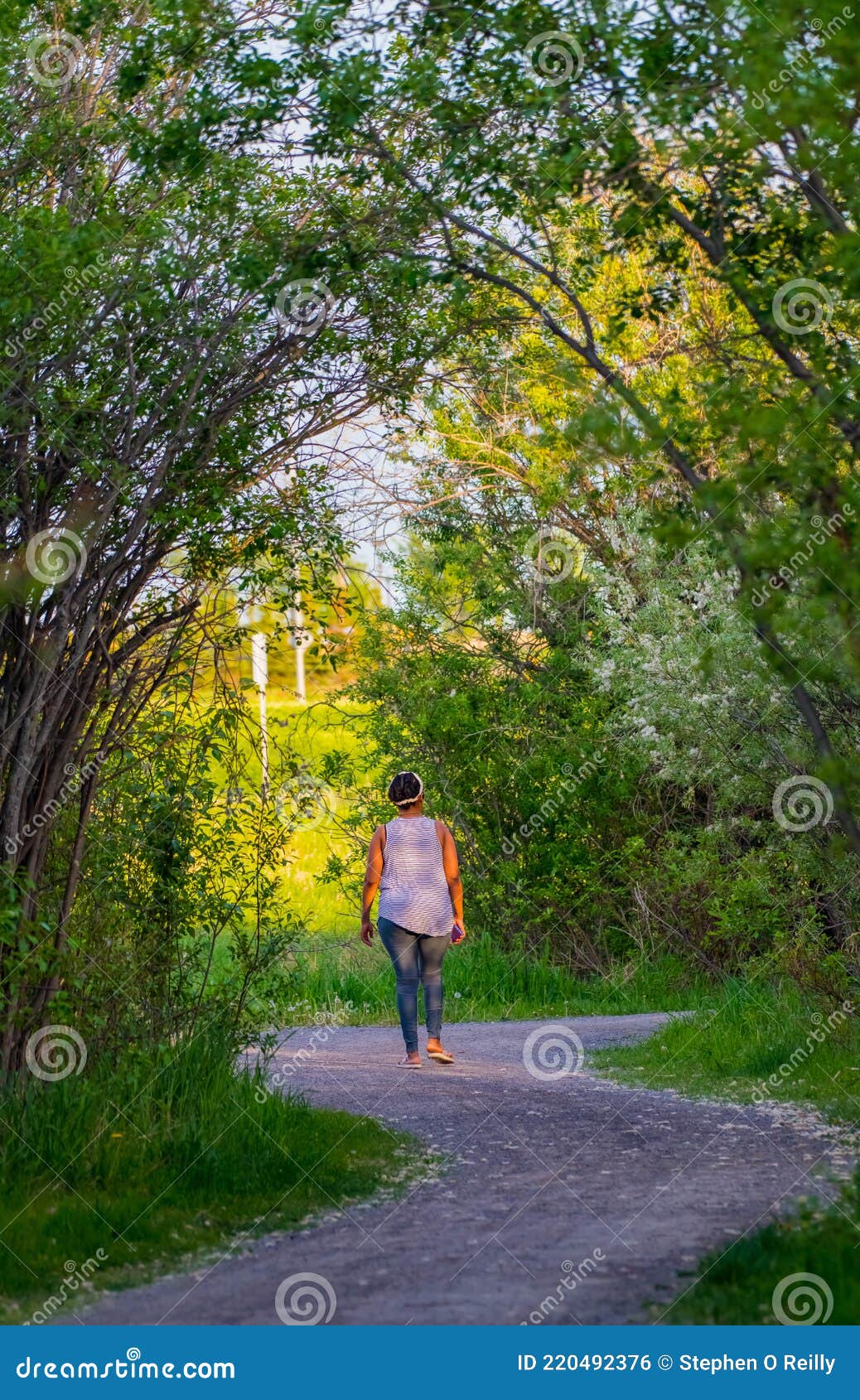 Warm Summers Evening Stroll in the Park Stock Photo - Image of enjoying ...