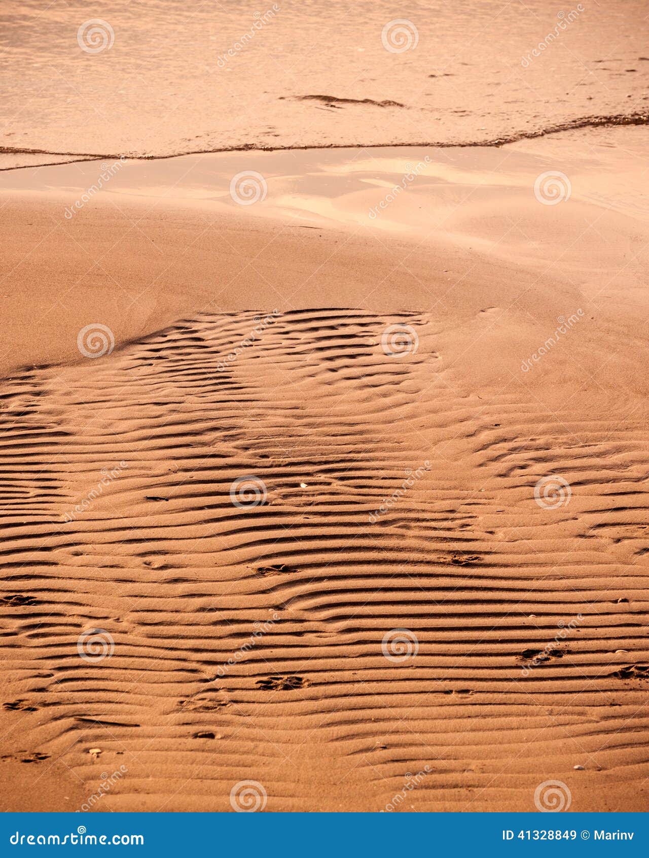 Warm Sunset on the Sand Beach Stock Image - Image of coast, landscape ...